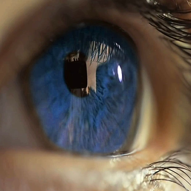 Germs Can Infiltrate the Body Via the Eyes – Newburyport MA | Watts Eye ...